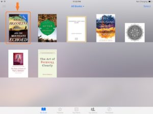 How to Read ePub and Mobi Files on an iPad - iPadable